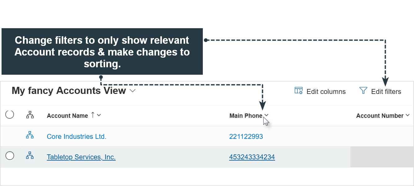 CRM Views are easily configurable – SYSTEMHEADS